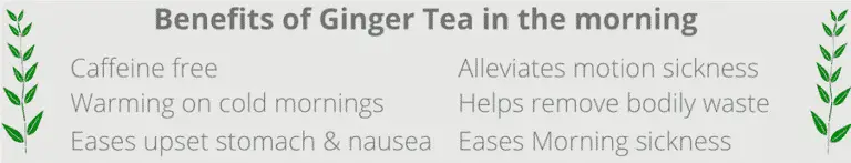 20 Best Teas to Drink in the Morning, a Morning Tea Guide!