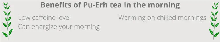 20 Best Teas to Drink in the Morning, a Morning Tea Guide!