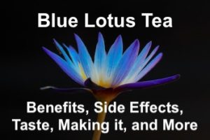 Blue Lotus Tea, Benefits, Side Effects, Taste, Making It